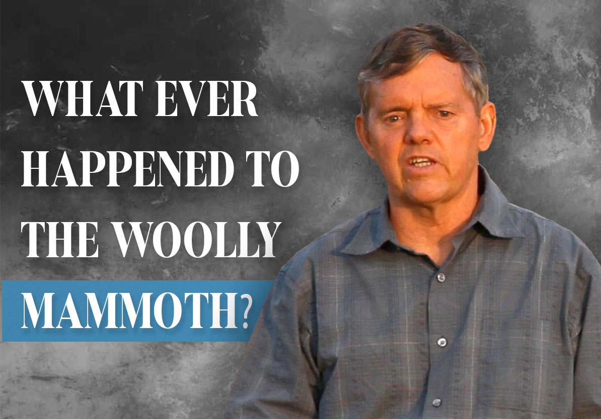 Ice Age and the Woolly Mammoth - Michael J Oard - Riverside Calvary Chapel